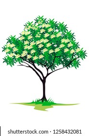 Frangipani Tree On Vector Illustration Stock Vector (Royalty Free ...