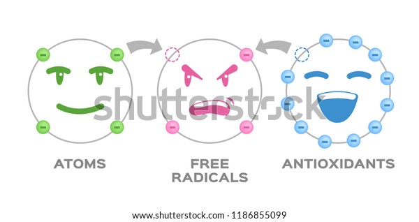 Free Radical Antioxidant Vector Antioxidant Donates Stock Vector ...