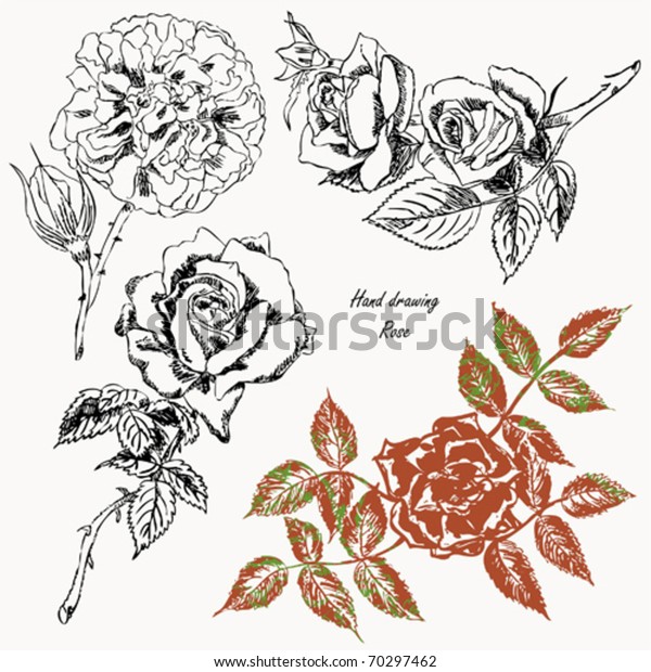 Freehand Drawing Rose Stock Vector (Royalty Free) 70297462 | Shutterstock