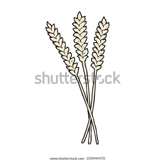 Freehand Drawn Cartoon Wheat Stock Vector (Royalty Free) 350949470