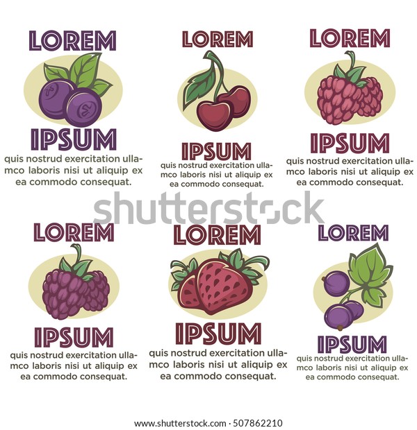 Fresh Berry Label Templates Stock Vector (Royalty Free) 507862210 ...