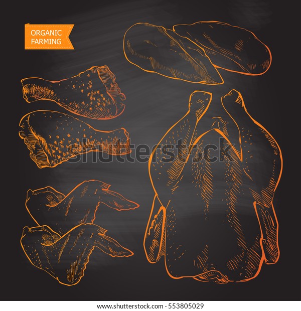 Fresh Chicken Meat Top View Isolated Stock Vector (Royalty Free ...
