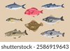 4,394 Milkfish Royalty-Free Images, Stock Photos & Pictures | Shutterstock