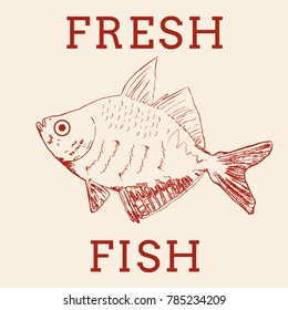 Fresh Fish Drawing Red White Stock Vector (Royalty Free) 785234209 ...