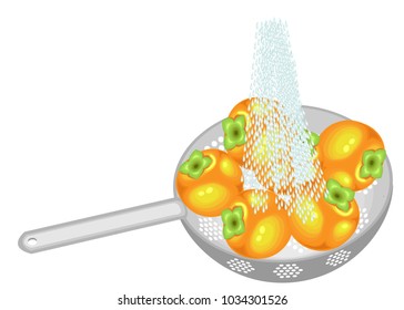 Fresh Fructify Under Stream Water Colander Stock Vector (Royalty Free ...