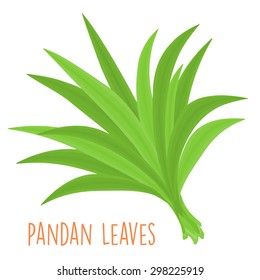 417 Pandanus Stock Vectors, Images & Vector Art | Shutterstock