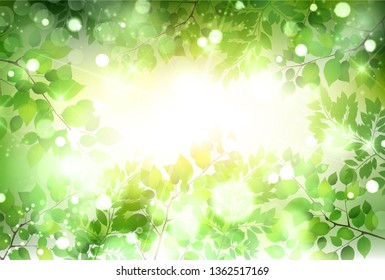 Fresh Green Light Green Background Stock Vector (Royalty Free ...