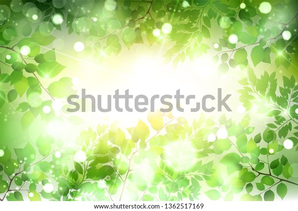 Fresh Green Light Green Background Stock Vector (Royalty Free ...