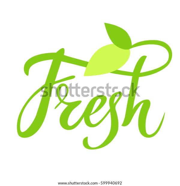Fresh Hand Drawn Logo Label Leaf Stock Vector (Royalty Free) 599940692