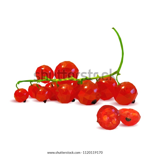 Fresh Nutritious Tasty Red Currant Symbols Stock Vector (Royalty Free ...
