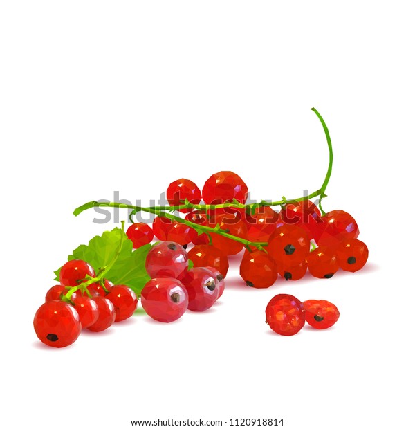 Fresh Nutritious Tasty Red Currant Symbols Stock Vector (Royalty Free ...