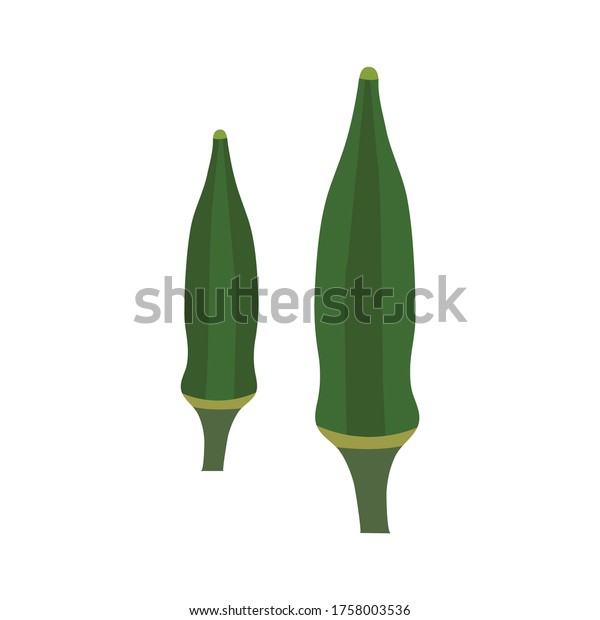 Fresh Okra Icon Vector Illustration Okra Stock Vector (Royalty Free ...