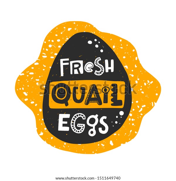 Fresh Quail Eggs Banner Template Farm Stock Vector (Royalty Free ...