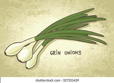 Fresh Spring Onion Vector Illustration Stock Vector (Royalty Free ...