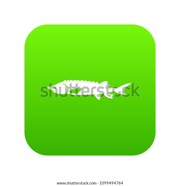 Fresh Sturgeon Fish Icon Digital Green Stock Vector (Royalty Free ...