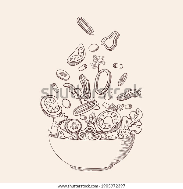Fresh Vegetable Salad Sketch Line Style Stock Vector (Royalty Free ...