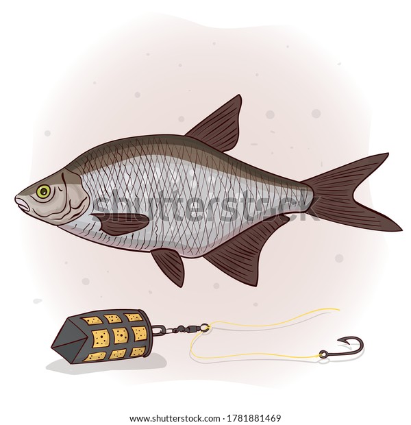 Freshwater Bream Hand Drawn Vector Illustration Stock Vector (Royalty ...