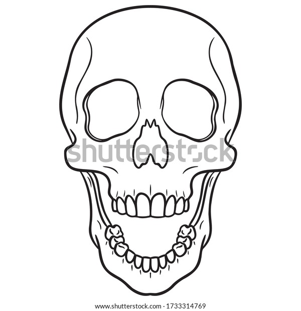 Friendly Monochrome Skull Open Mouth Isolated Stock Vector (Royalty ...
