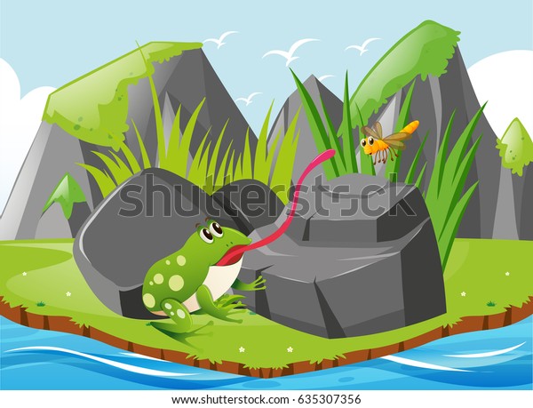 Frog Eating Bug Garden Illustration Stock Vector (Royalty Free ...