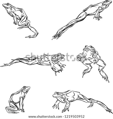 Jumping Frog Drawing | Free download on ClipArtMag