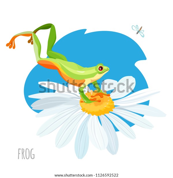 Frog Jumping On Chamomile Flower Vector Stock Vector (Royalty Free ...
