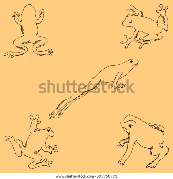 Vektor Stok Frogs Sketch By Hand Pencil Drawing (Tanpa Royalti ...