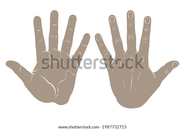 Front Back Hand Silhouette Inner Details Stock Vector (Royalty Free ...