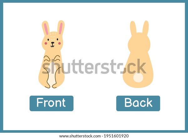 Front and back opposite adjectives educational wordcard. Flashcard with ...