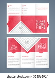 Front Back Page Presentation Professional Business Stock Vector ...