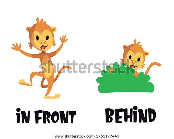 Front Behind Opposite Adjective Illustration Flash: vetor stock (livre ...