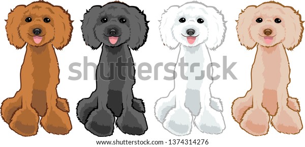 Front Facing Sitting Poodle Stock Vector (Royalty Free) 1374314276