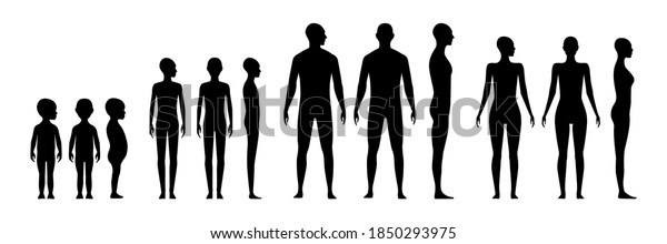 Front Side View Human Body Silhouette: vetor stock (livre de direitos ...