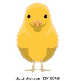 606 Chicken Front View Vector Images, Stock Photos & Vectors | Shutterstock