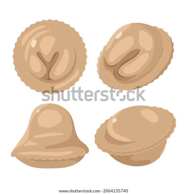 Frozen Pelmeni Vector Cartoon Set Isolated Stock Vector (Royalty Free ...