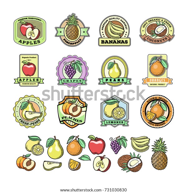 Fruit Badge Templates Labels Sample Text Stock Vector (Royalty Free ...