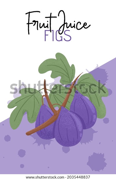 Fruit Fig Juice Card Design Sweet Stock Vector (Royalty Free ...