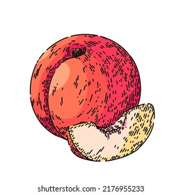26,422 Nectarine slices Images, Stock Photos & Vectors | Shutterstock
