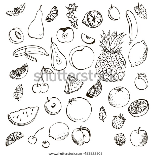 Fruits Berries Set Ink Drawing Vector Stock Vector (Royalty Free) 453522505
