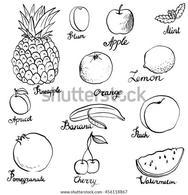 Fruits Berries Set Ink Drawing Vector: เวกเตอร์สต็อก (ปลอดค่าลิขสิทธิ์ ...
