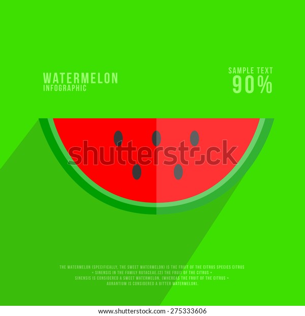 Fruits Vector Illustration Watermelon Infographics Stock Vector ...