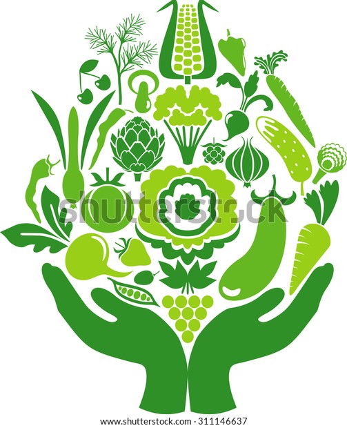 Fruits Vegetables Hands Stock Vector (Royalty Free) 311146637