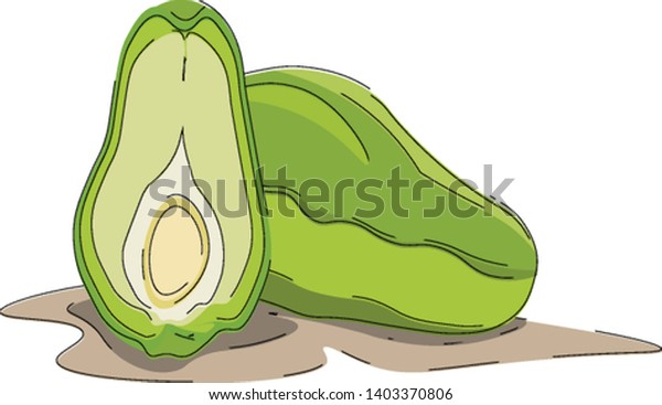 A full chayote and a sliced chayote which is sliced half , vector ...