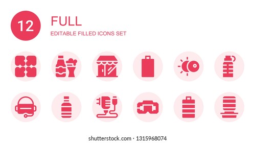 Full Icon Set Collection 12 Filled Stock Vector (Royalty Free ...