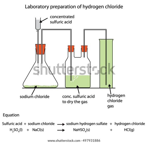 Fully Labelled Diagram Laboratory Preparation Hydrogen : image ...