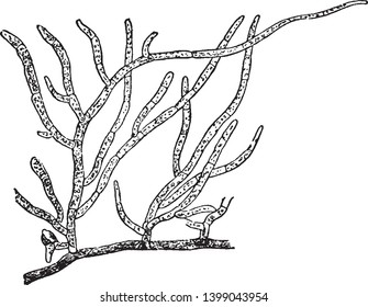 Occur moist Images, Stock Photos & Vectors | Shutterstock