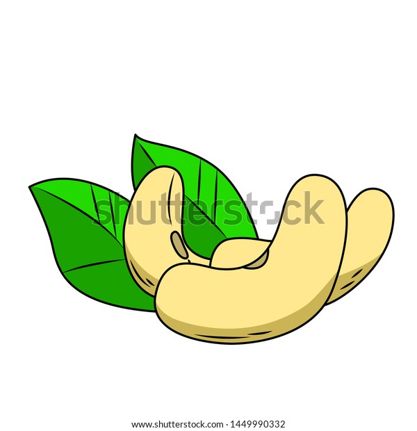 Funny Cashew Cartoon Style Concept Fruits Stock Vector (Royalty Free ...