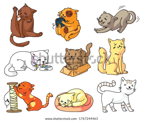 Funny Cat Funny Cartoon Cat Character Stock Vector (Royalty Free ...