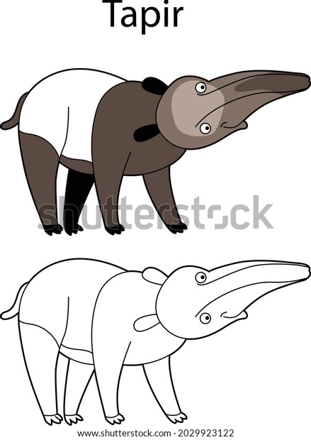 Funny Cute Animal Tapir Isolated On Stock Vector (Royalty Free ...
