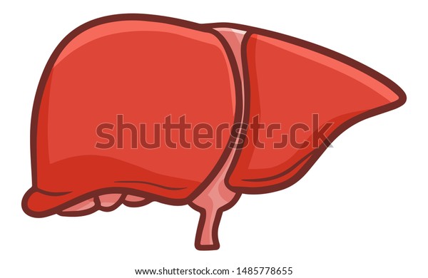 Funny Cute Liver Simple Cartoon Style Stock Vector (Royalty Free ...