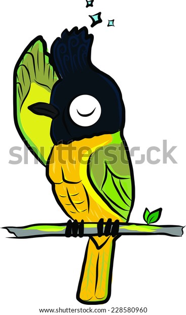 Funny Hand Drawn Blackcrested Bulbul Bird Stock Vector (Royalty Free ...